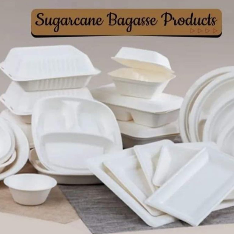 Sugarcane Bagasse Products - SHAUQ GOURMET